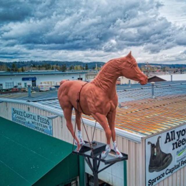 Spruce Capital Feeds Ltd - Prince George, BC | British Columbia Local